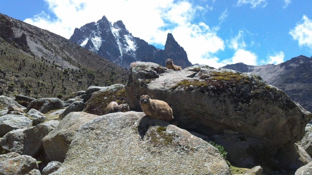 4 Days Mt Kenya Climbing: Naro Moru – Sirimon Route - Jabulani Tours ...